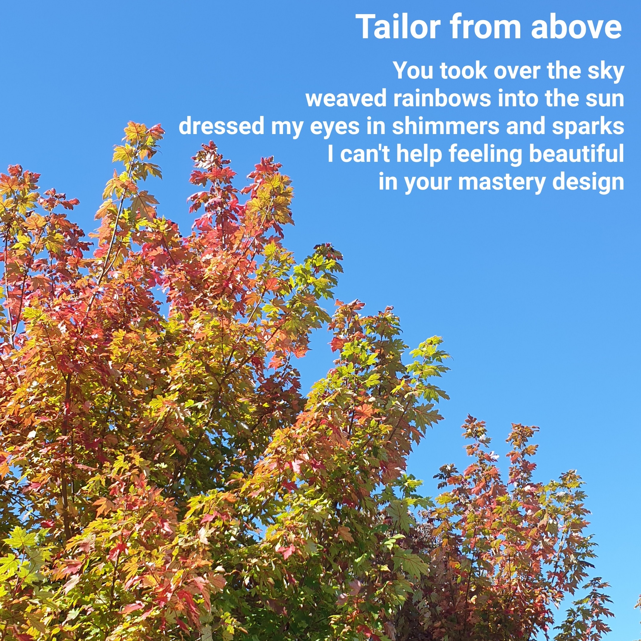 Tailor from above – Flicker of Thoughts